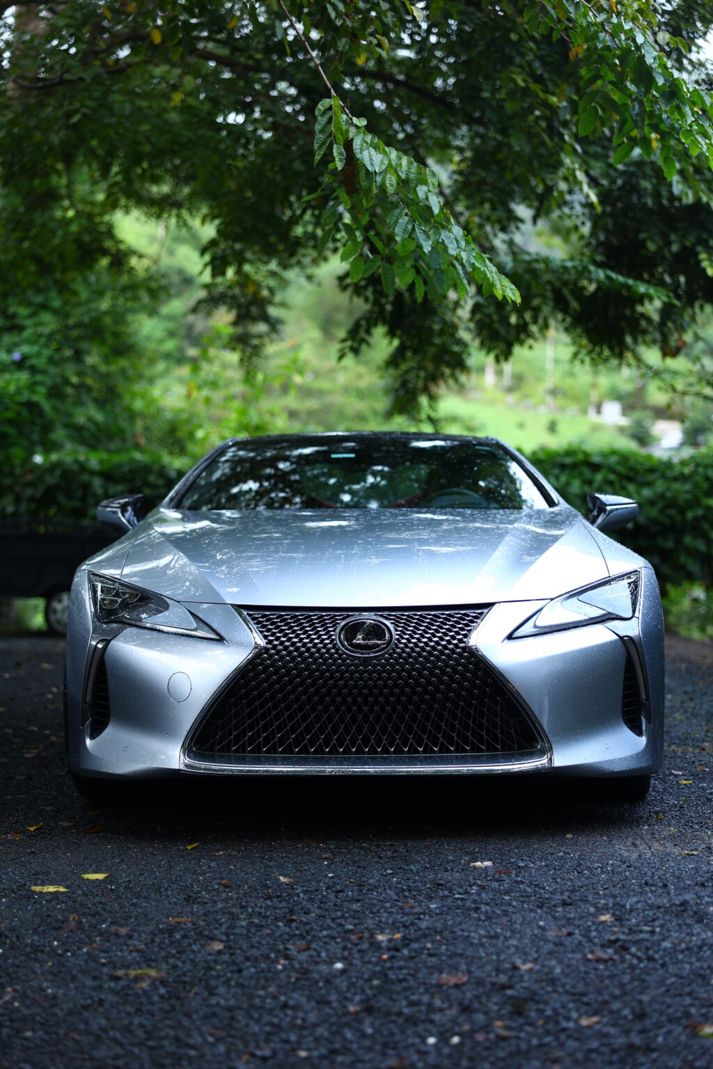 Lexus redefine el lujo con su apuesta a la movilidad sostenible ...